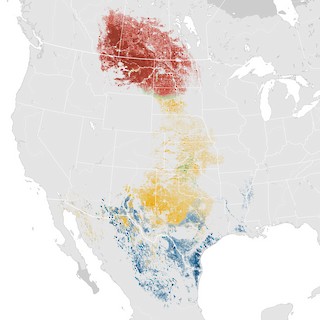 eBird Status and Trends - eBird Science